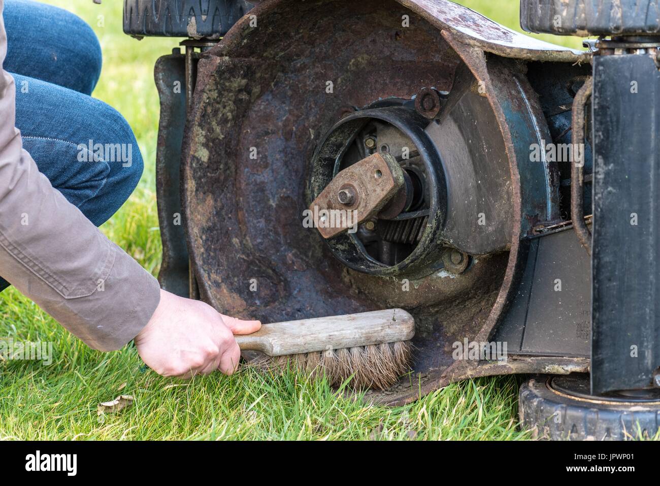 Maintenance of a lawn mower Stock Photo - Alamy