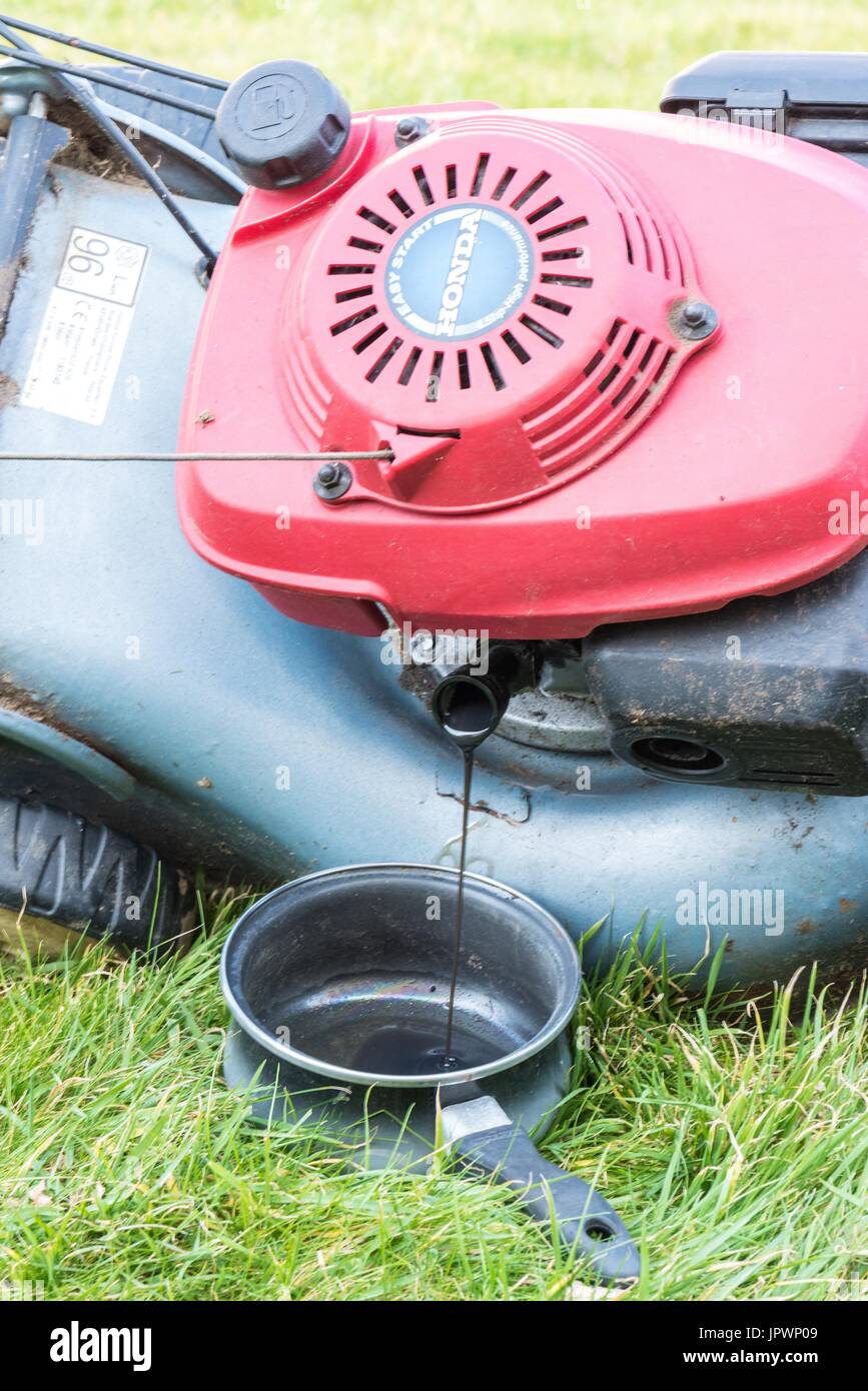 Maintenance of a lawn mower Stock Photo - Alamy