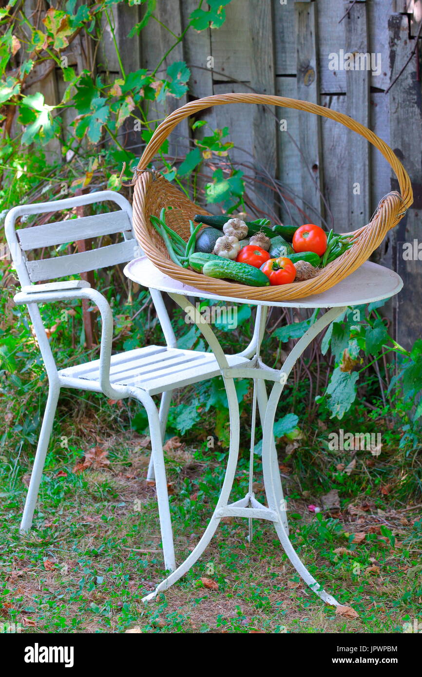 Seasonal vegetables: courgettes, cucumbers, tomatoes, on a table in a ...