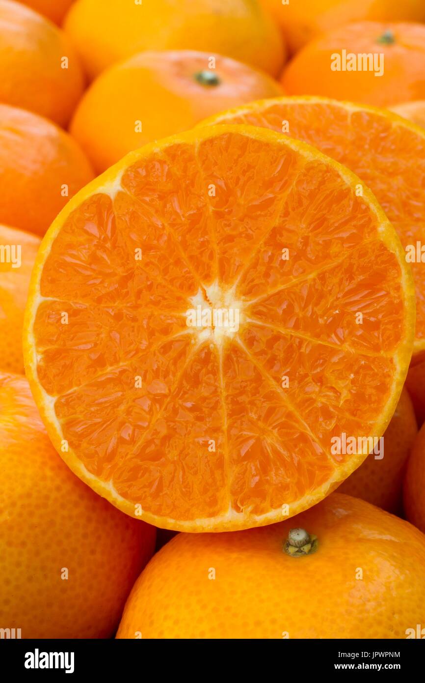 Citrus sinensis orange tree hi-res stock photography and images - Alamy