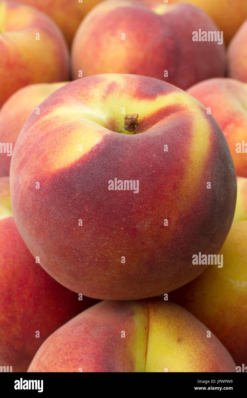 Peaches 'Spring Lady' Stock Photo - Alamy