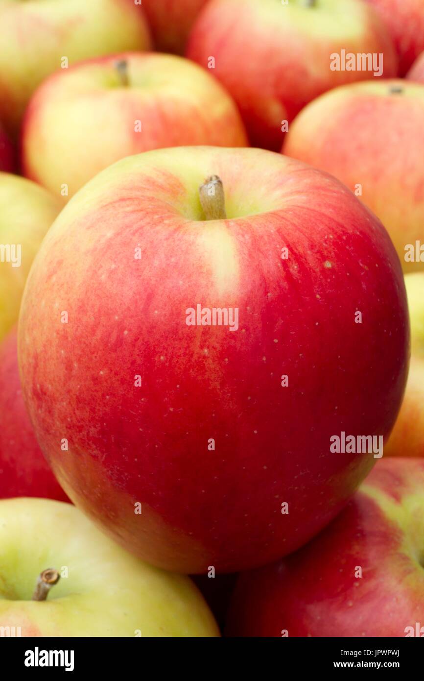 Scifresh High Resolution Stock Photography and Images - Alamy