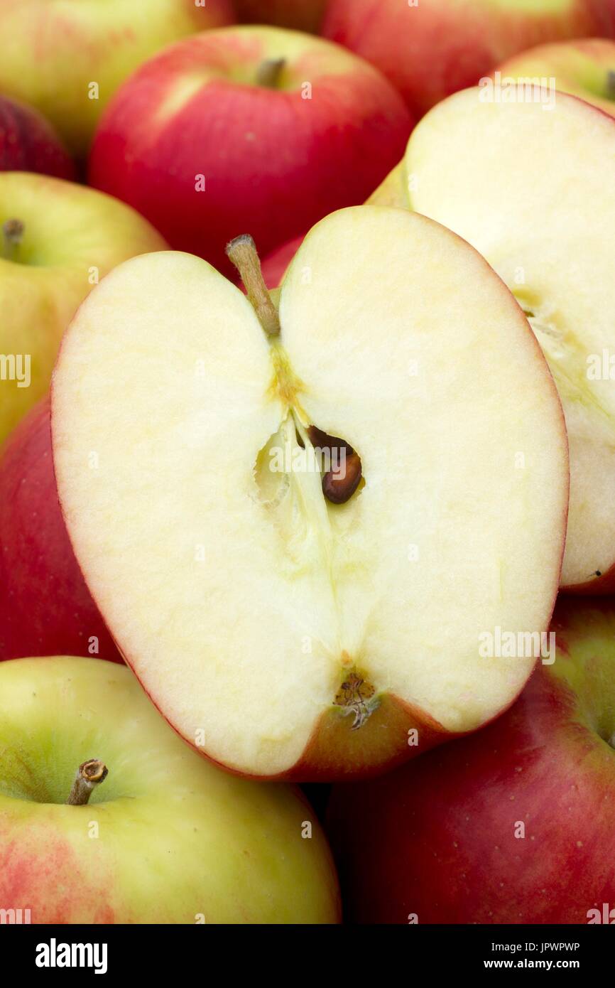 Scifresh hi-res stock photography and images - Alamy