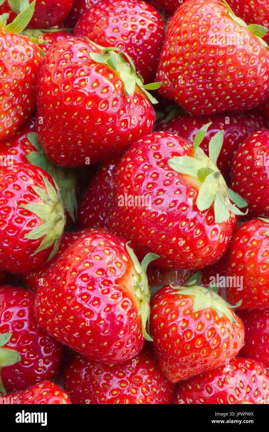 Elsanta hi-res stock photography and images - Alamy