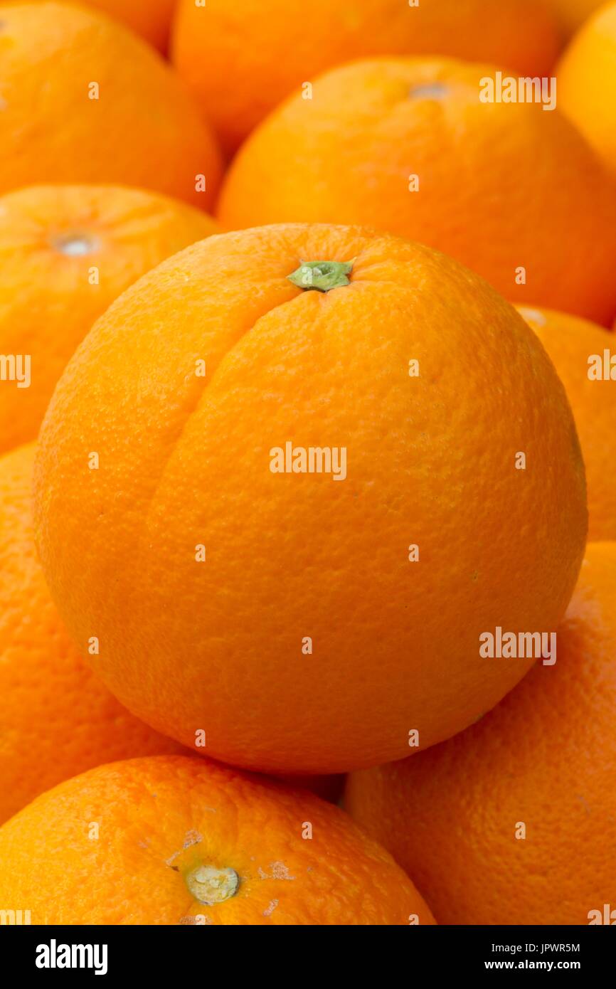 Oranges 'Navel Late' Stock Photo - Alamy