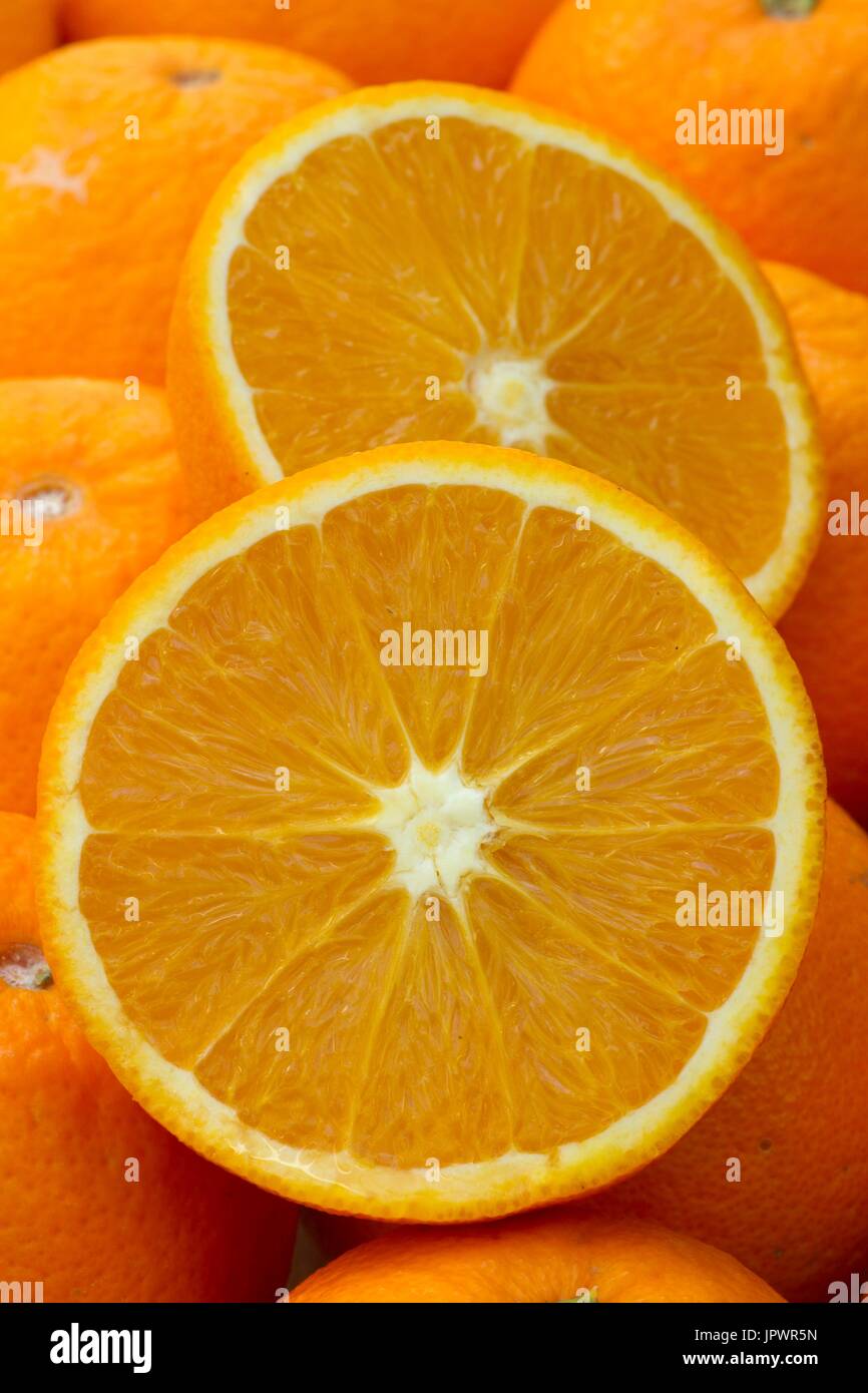 Oranges 'Navel Late' Stock Photo - Alamy