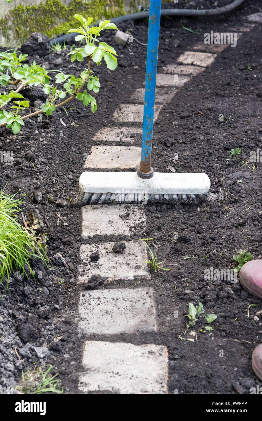 Sowing a lawn on a garden path Stock Photo - Alamy