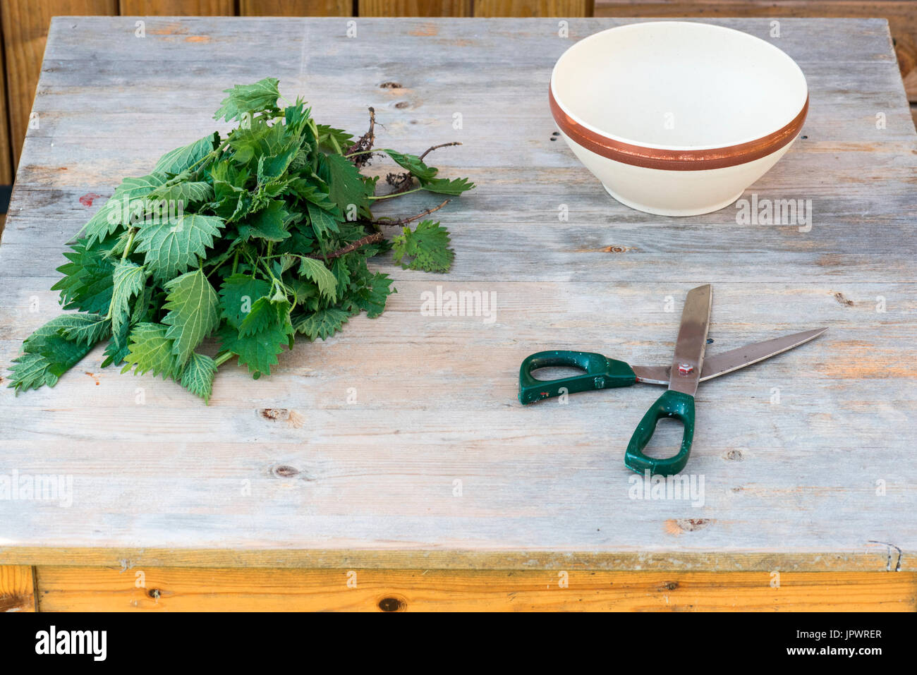 Making of nettle manure Stock Photo - Alamy