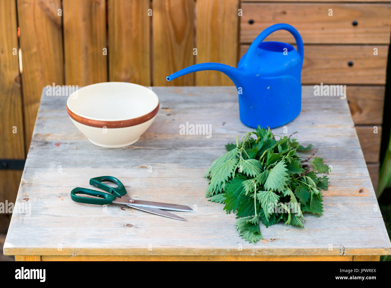 Making of nettle manure Stock Photo - Alamy