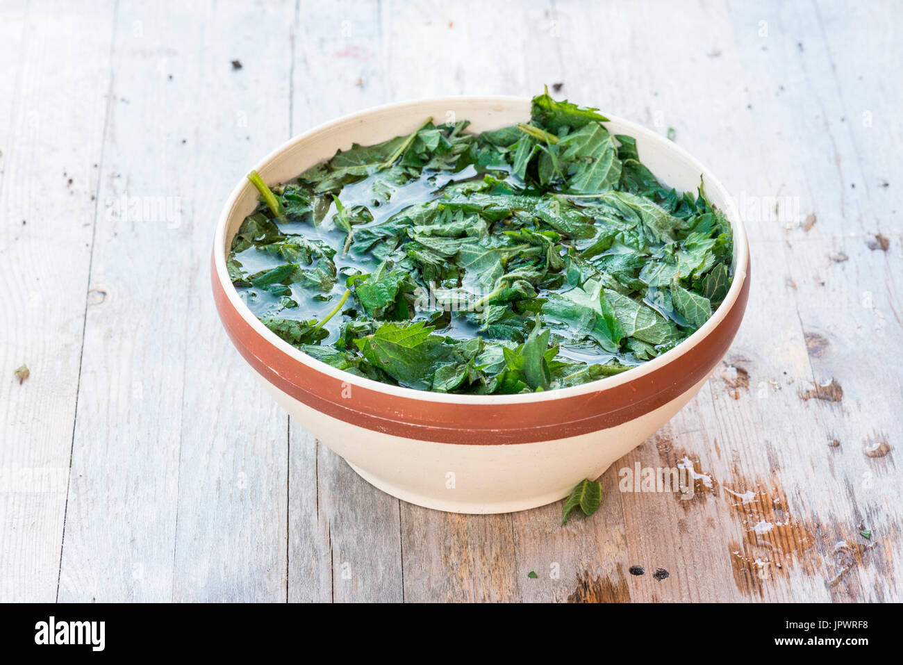 Making of nettle manure Stock Photo - Alamy