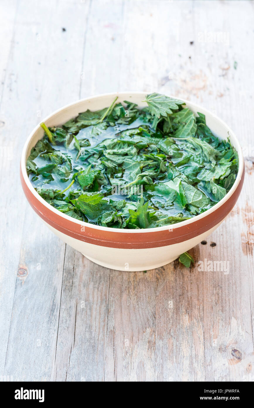 Making of nettle manure Stock Photo - Alamy