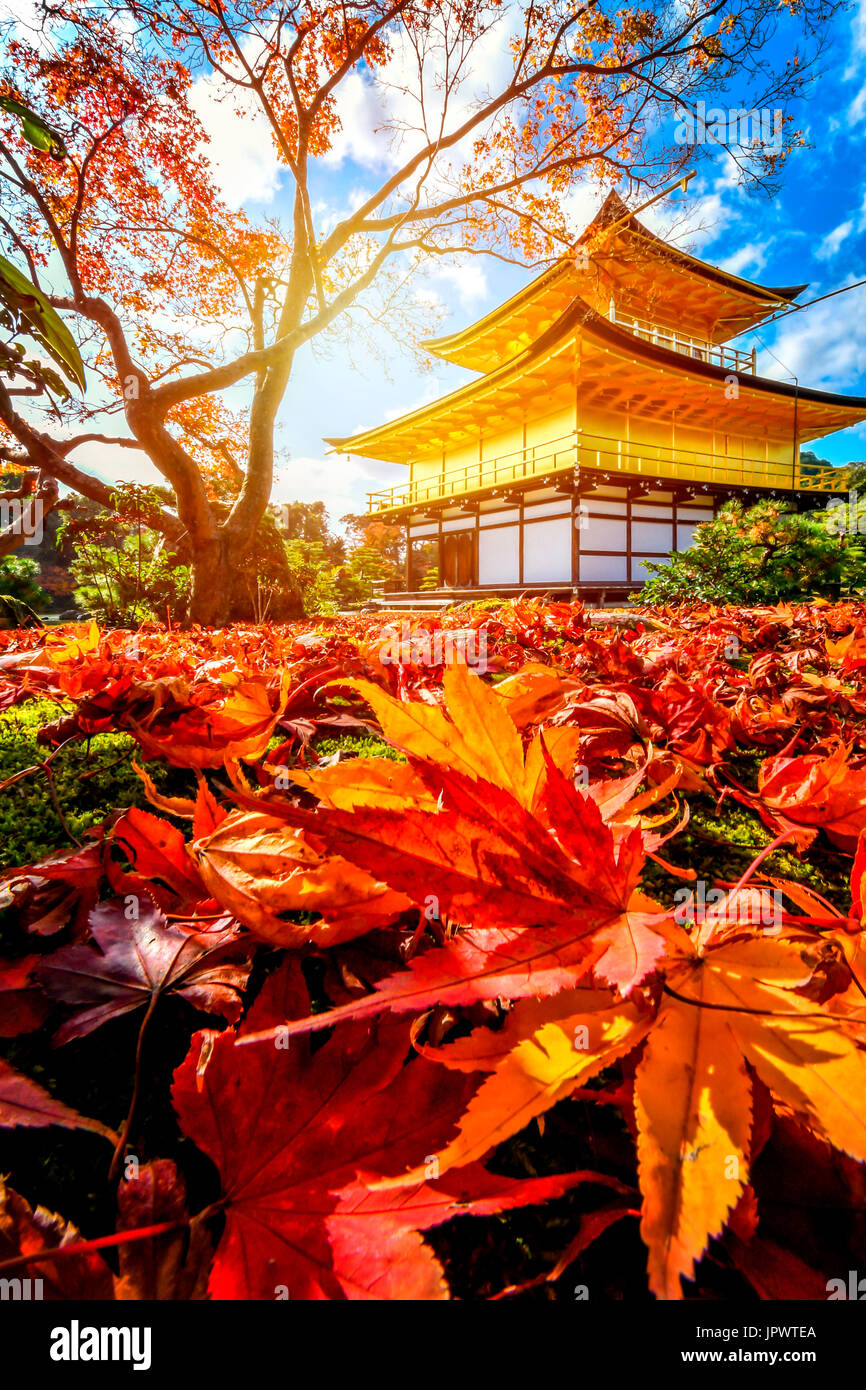 Sunset in the Kinkakuji temple, Kyoto, Japan Stock Photo - Alamy