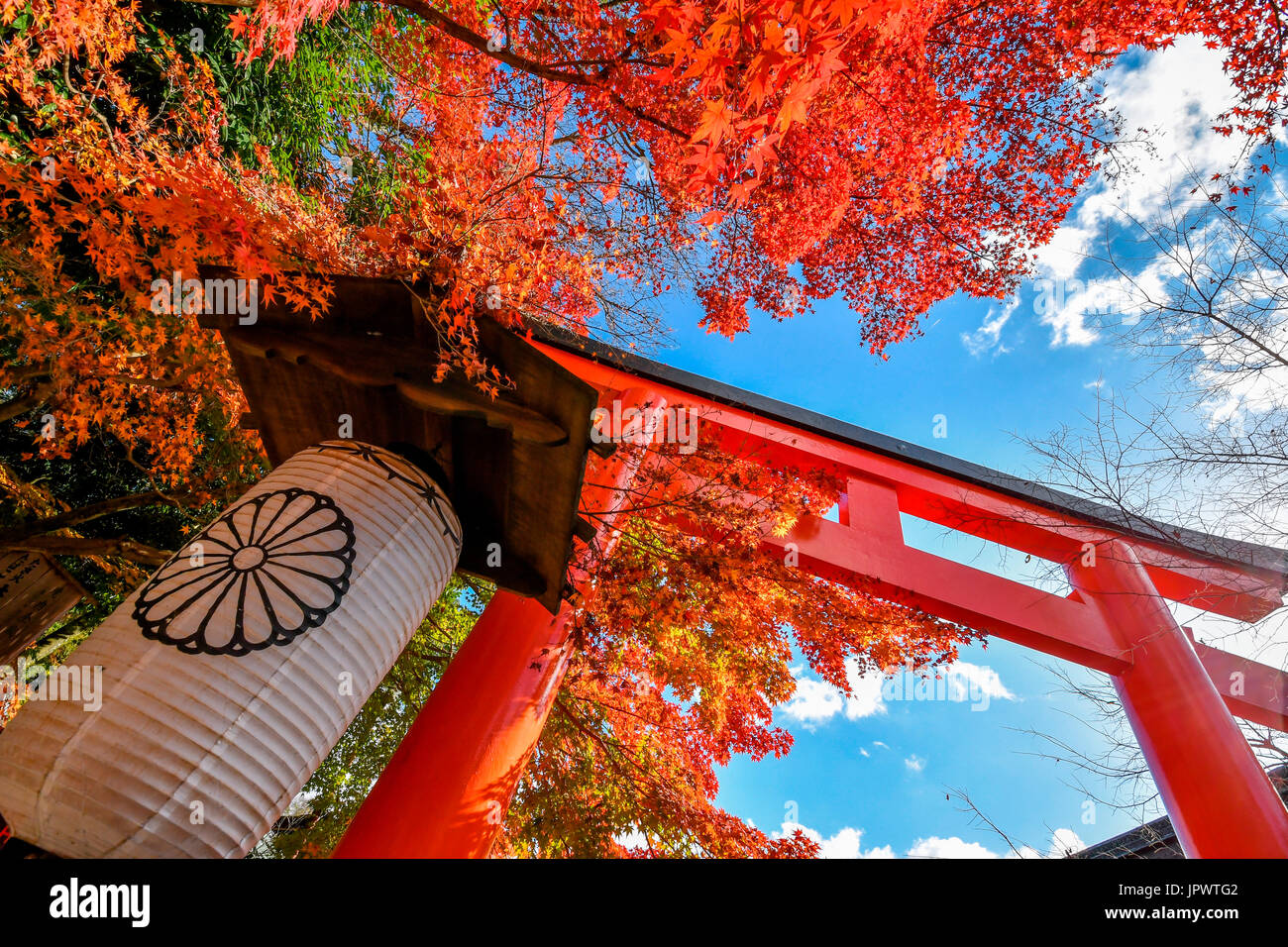 Red Torii, Kyoto, Japan Stock Photo - Alamy