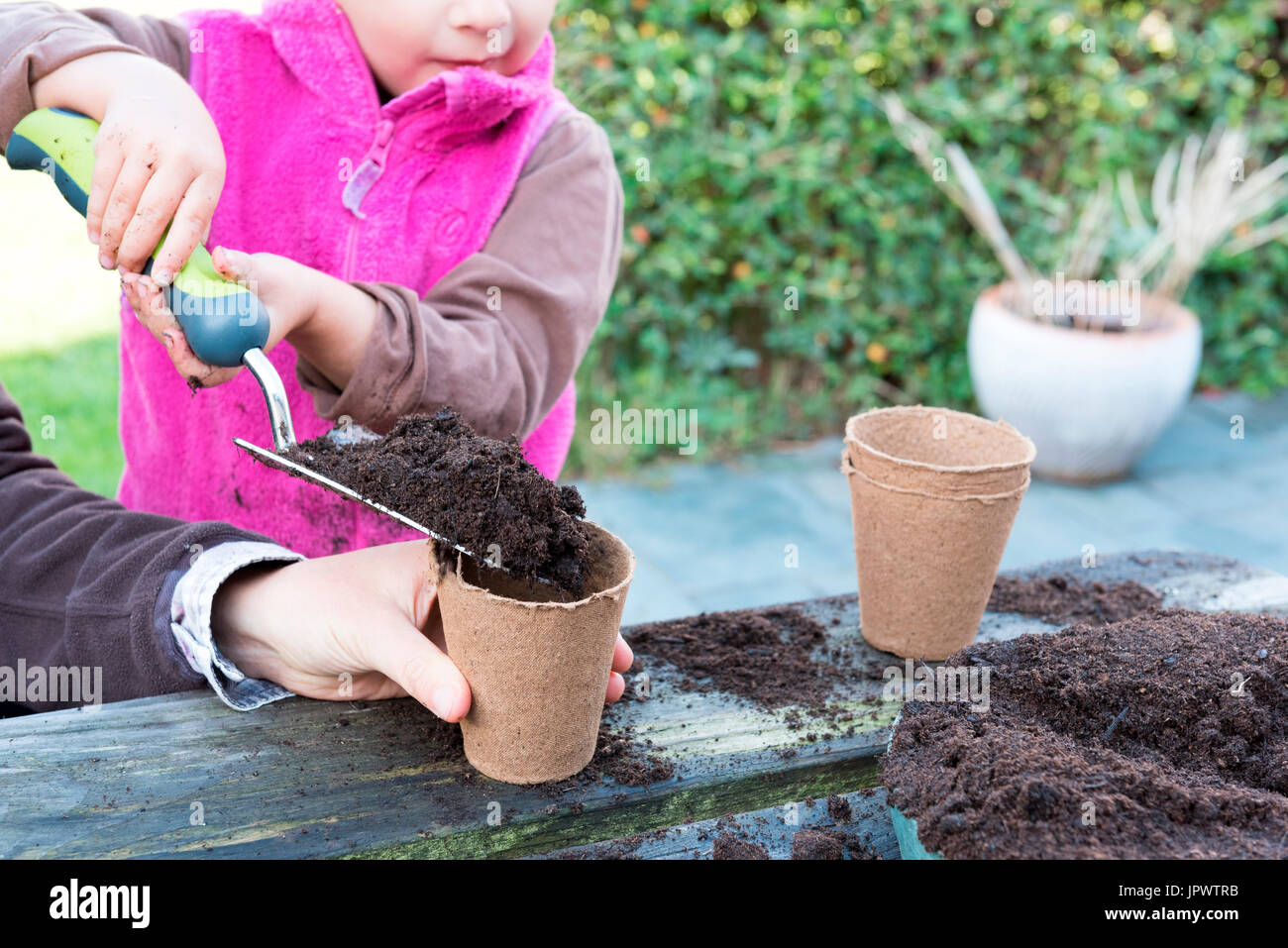 Little girl making a cutting from a box tree with the help of her ...