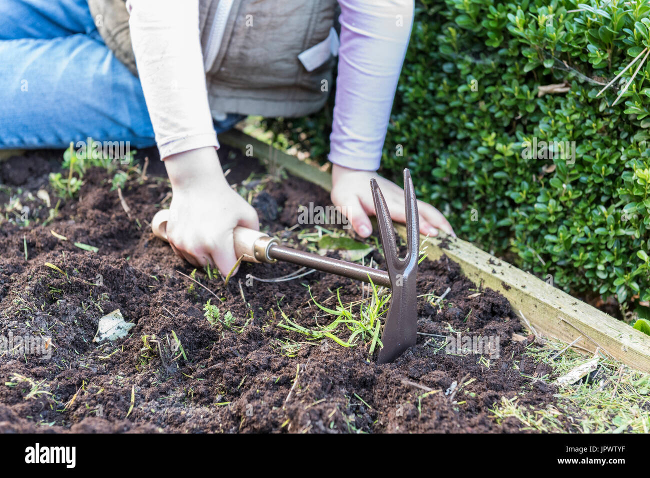 Young girl weeding the garden with a small hoe Stock Photo - Alamy