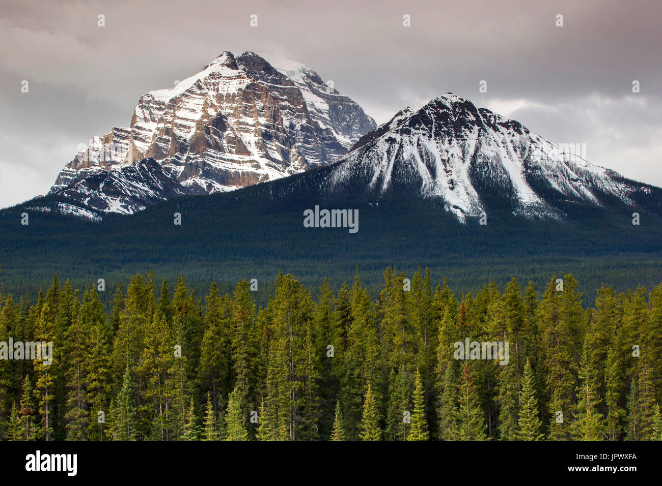 Temple Mount - Banff Alberta Canada Stock Photo - Alamy