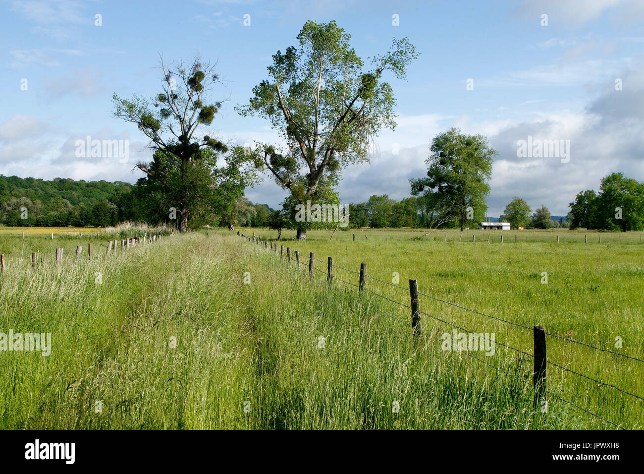 Normandy in Spring - France Stock Photo - Alamy