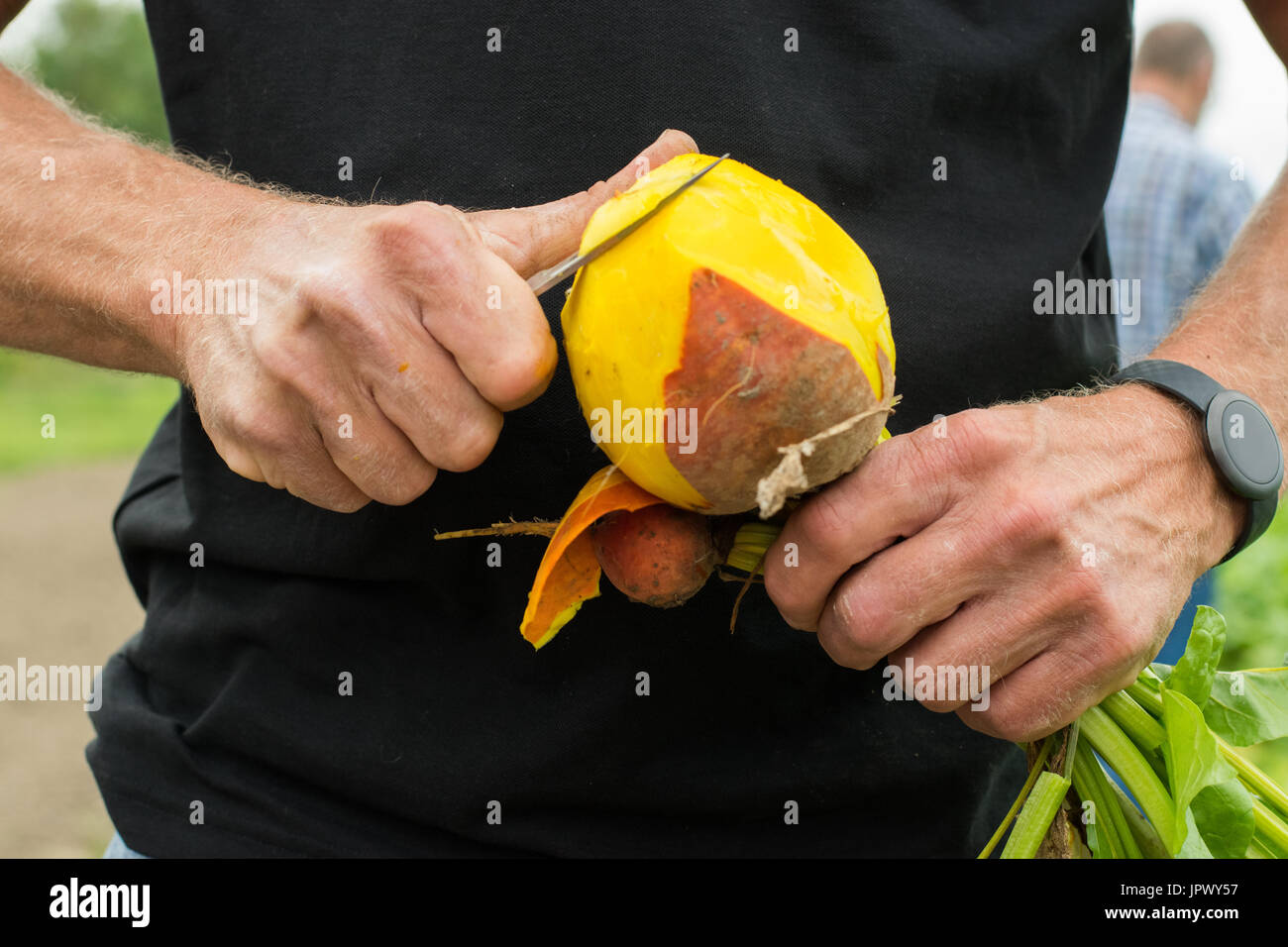 Harvest beetroot hi-res stock photography and images - Alamy