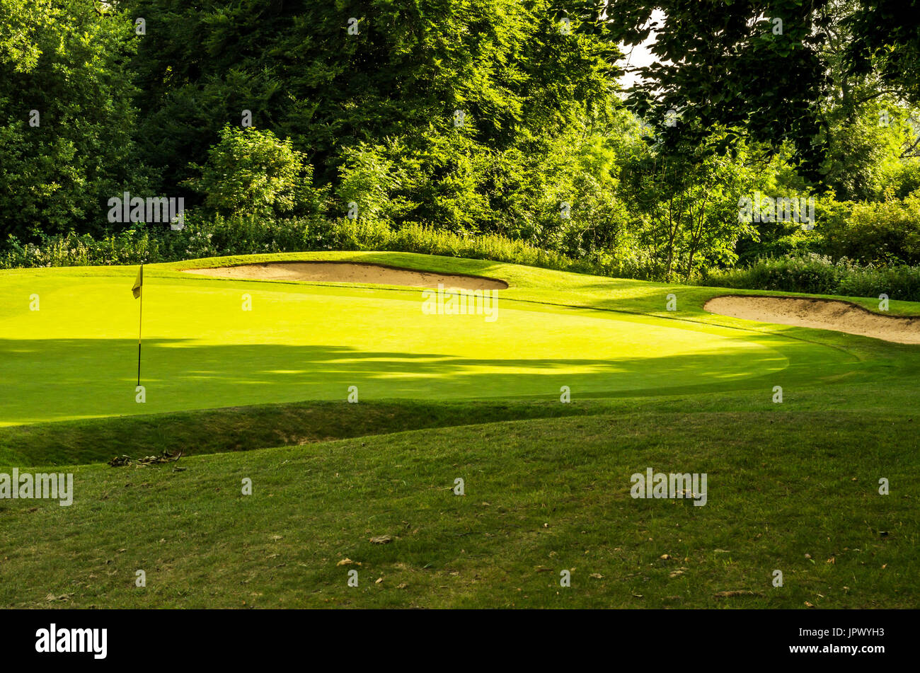Golf course on a beautiful day, green grass, lush vegetation, golf ...