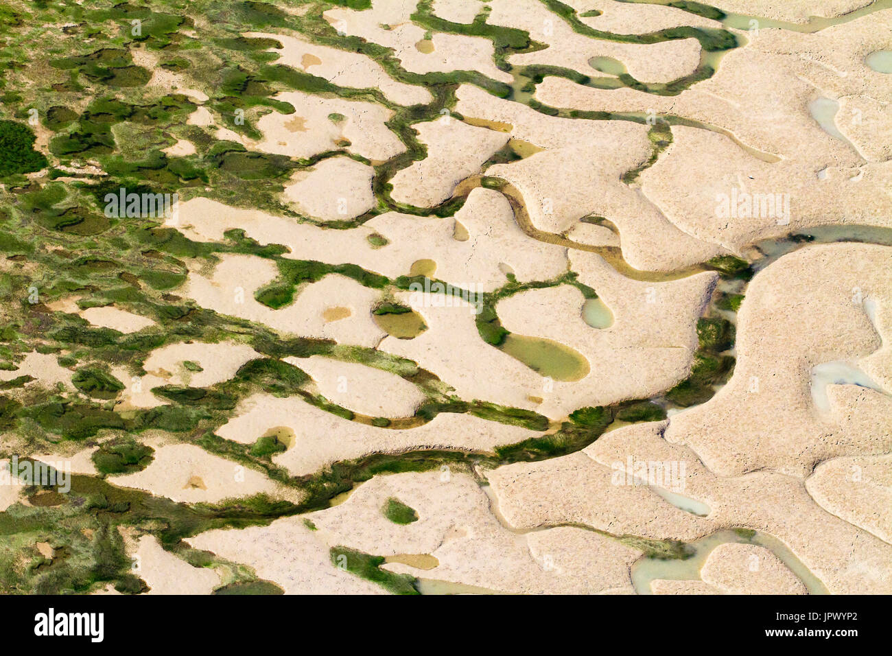 Meander in coastal marsh - Bay of Cadiz Spain Stock Photo - Alamy