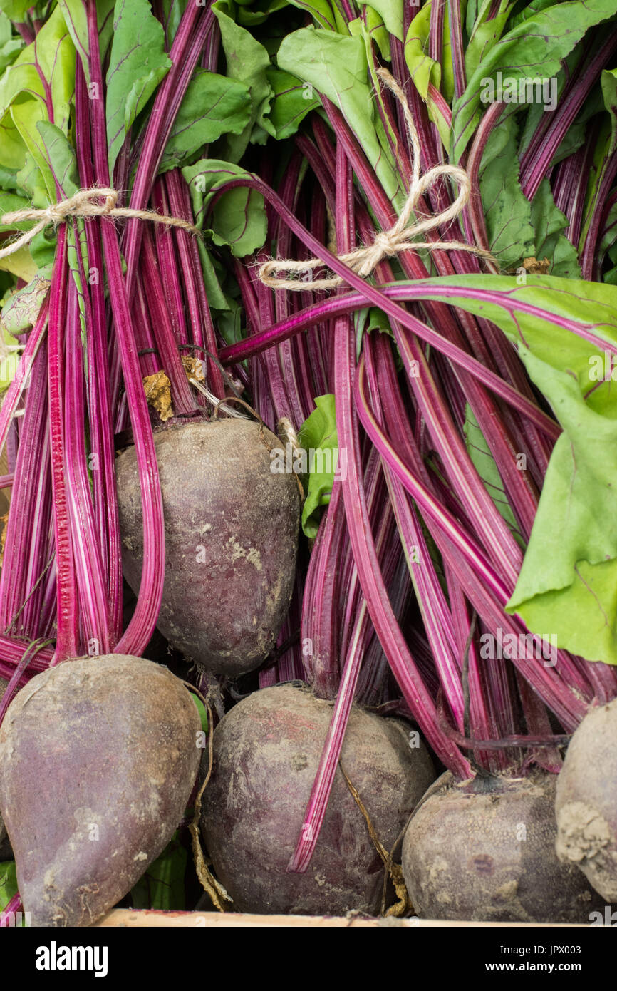 Red de control hi-res stock photography and images - Alamy