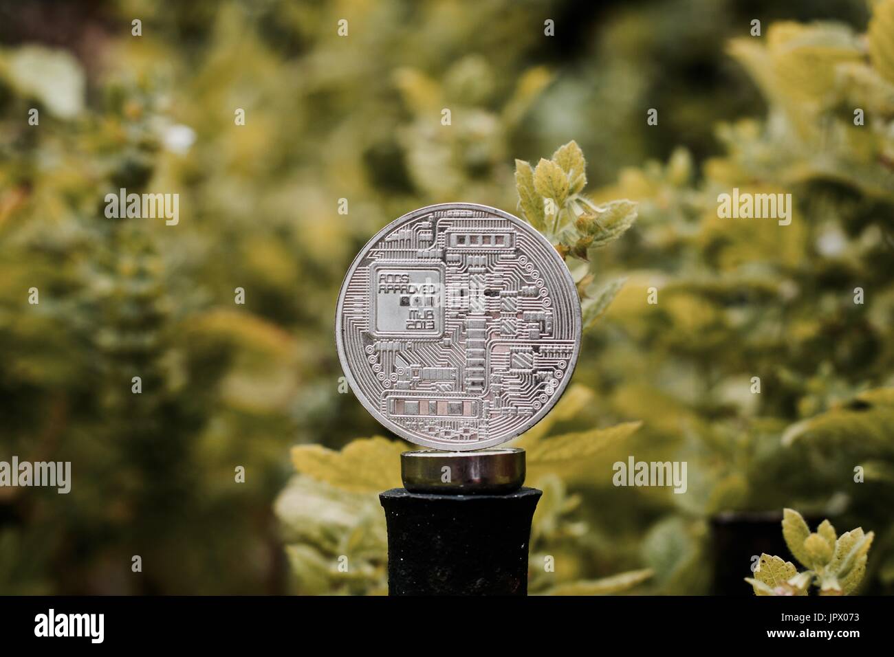 Digital currency physical metal bitcoin coin on the green background ...