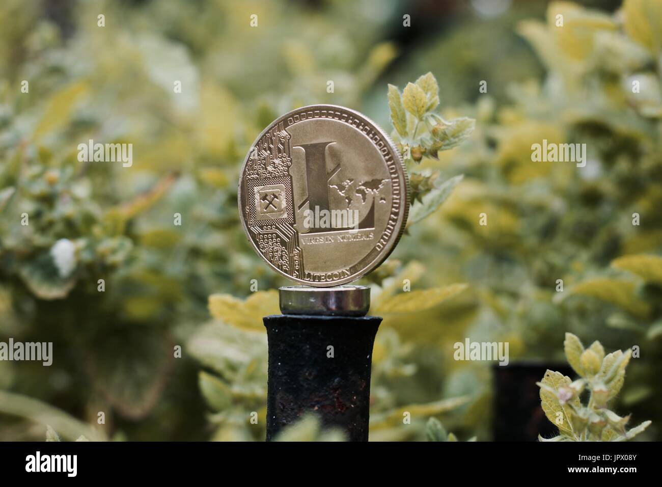Digital currency physical metal litecoin coin on the green background ...