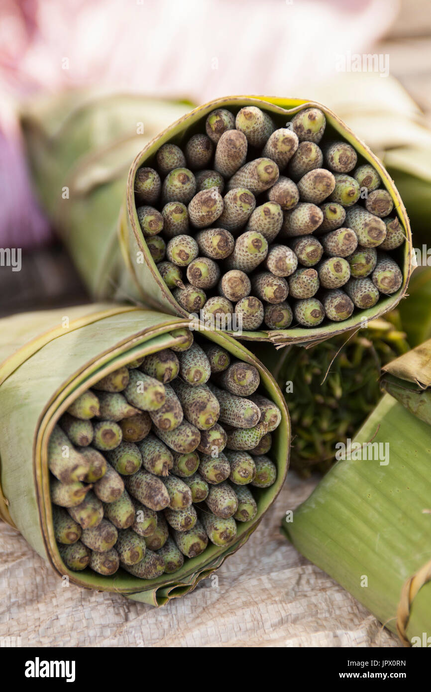 Sirih High Resolution Stock Photography and Images - Alamy