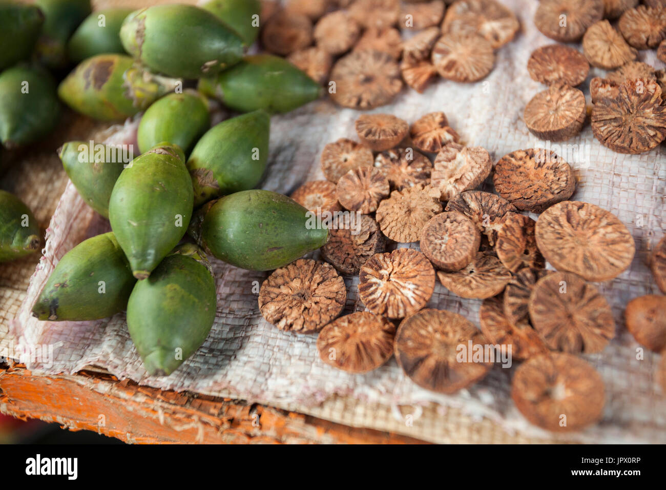 Areca Palm Fruits Areca Catechu High Resolution Stock Photography and ...