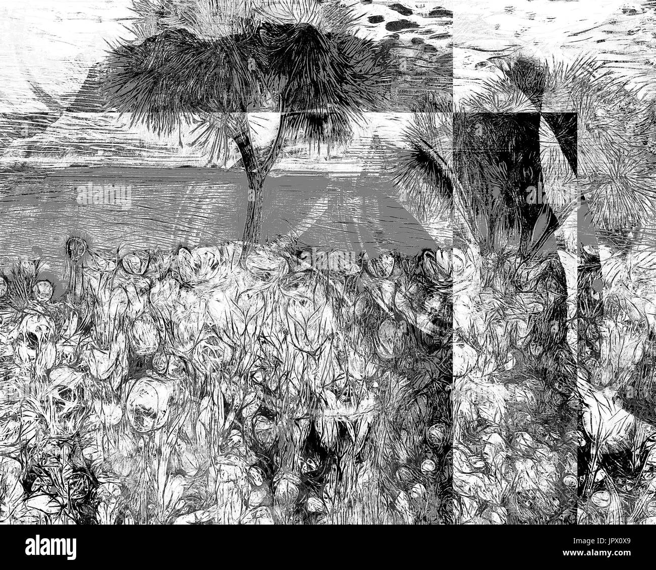 Digital wrap Black and White Stock Photos & Images - Alamy