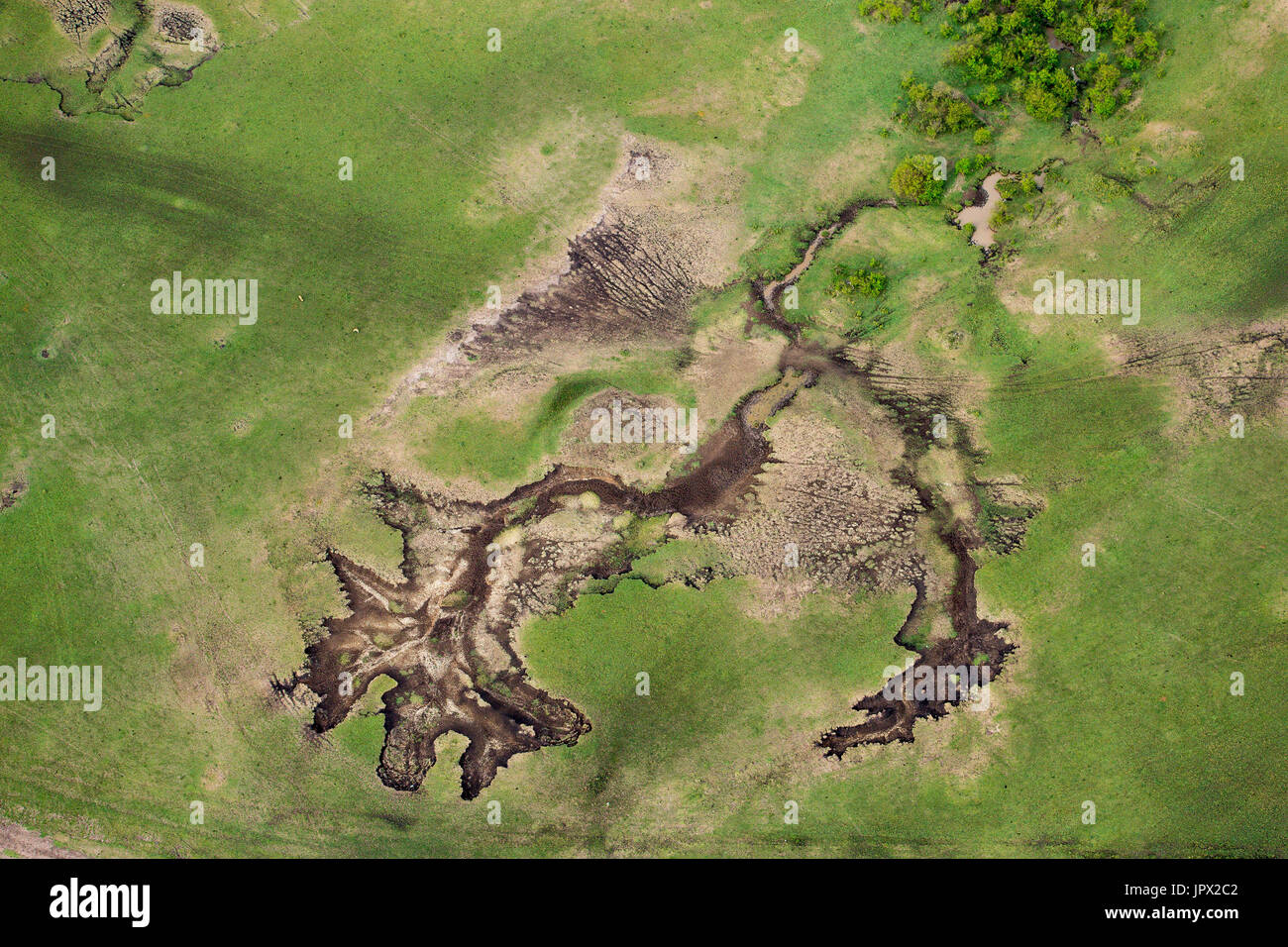 Dry channel of the mara river - Masai Mara Kenya Stock Photo - Alamy