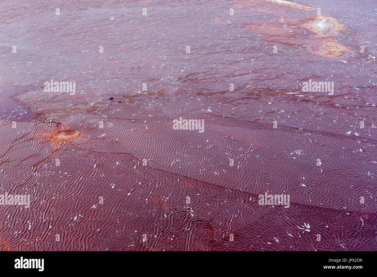 Pink color due to the Archaea - Lake Magadi Kenya Stock Photo - Alamy