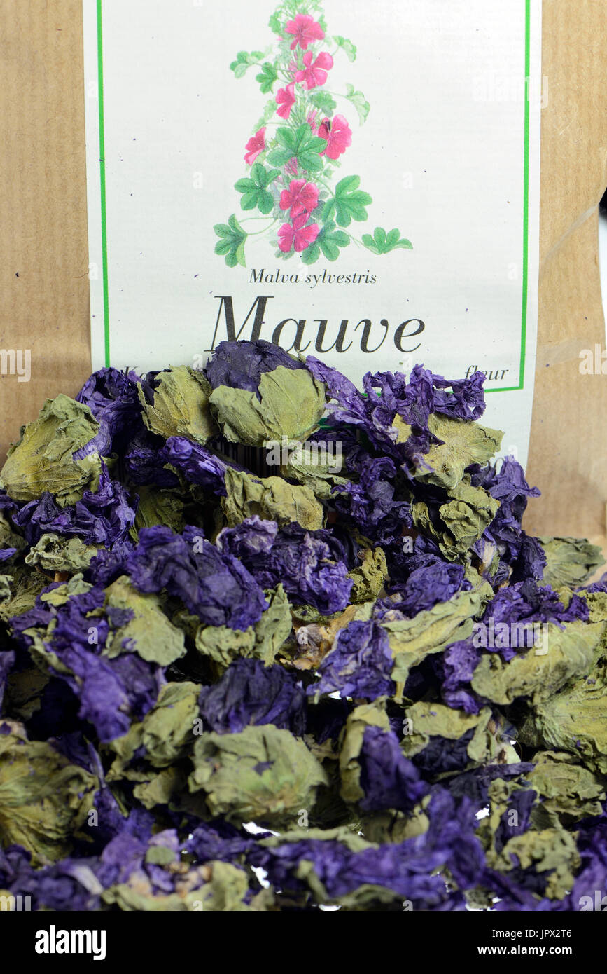 Dried Mallow Flowers to infusion - France Stock Photo - Alamy