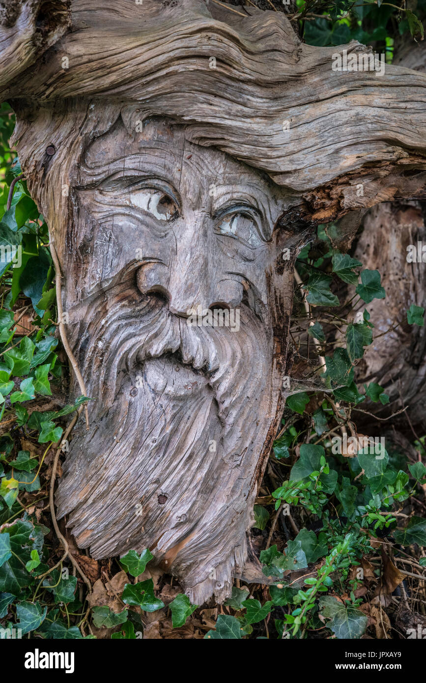 Things Tirolean. and mythical faces of the forest Stock Photo - Alamy