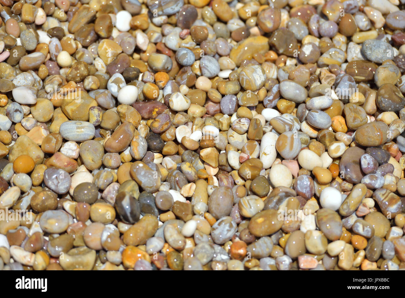 Pebbles for a background hi-res stock photography and images - Alamy