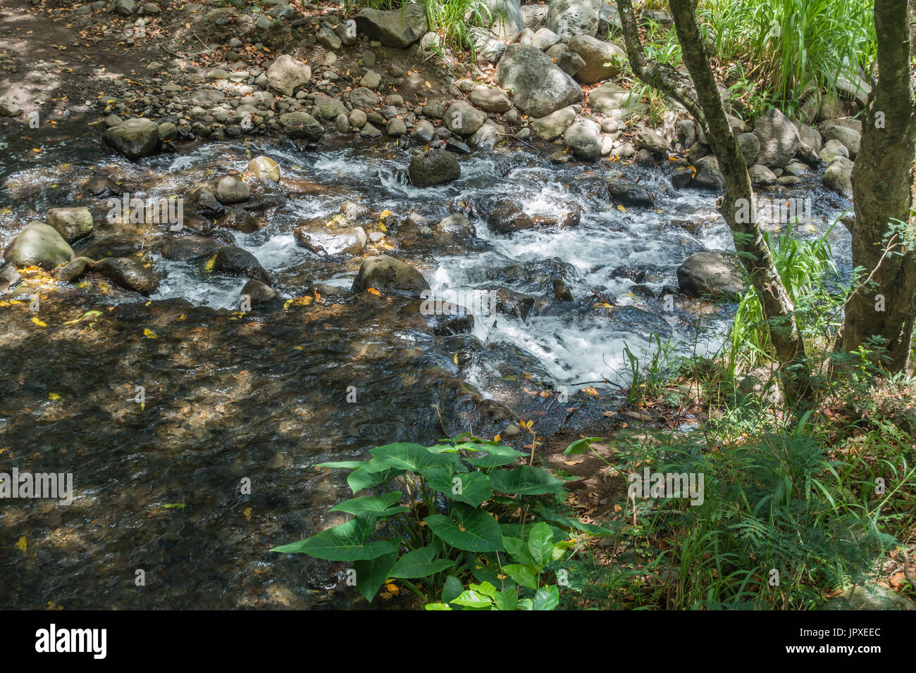 Iao river hi-res stock photography and images - Alamy