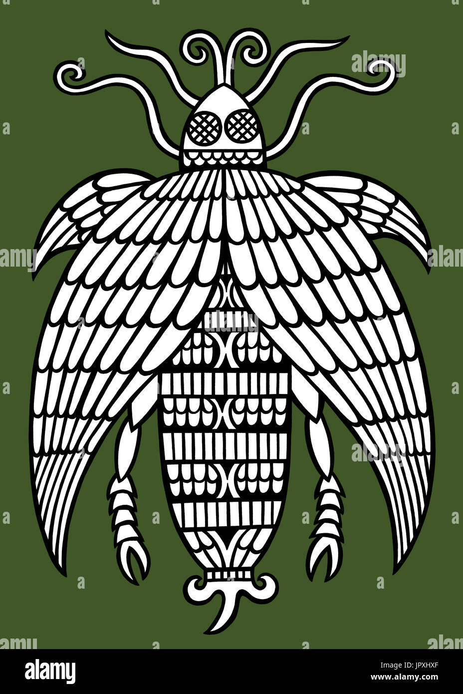 A decorative fly design on a green background Stock Photo - Alamy