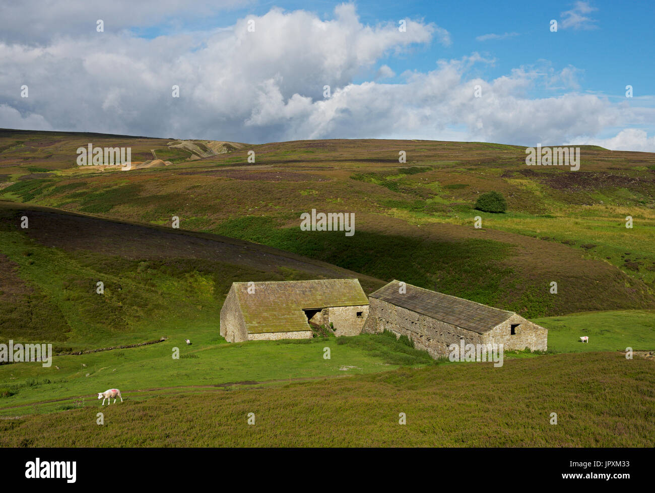 Lead-smelting mill, Grinton Moor, Swaledale, Yorkshire Dales National ...