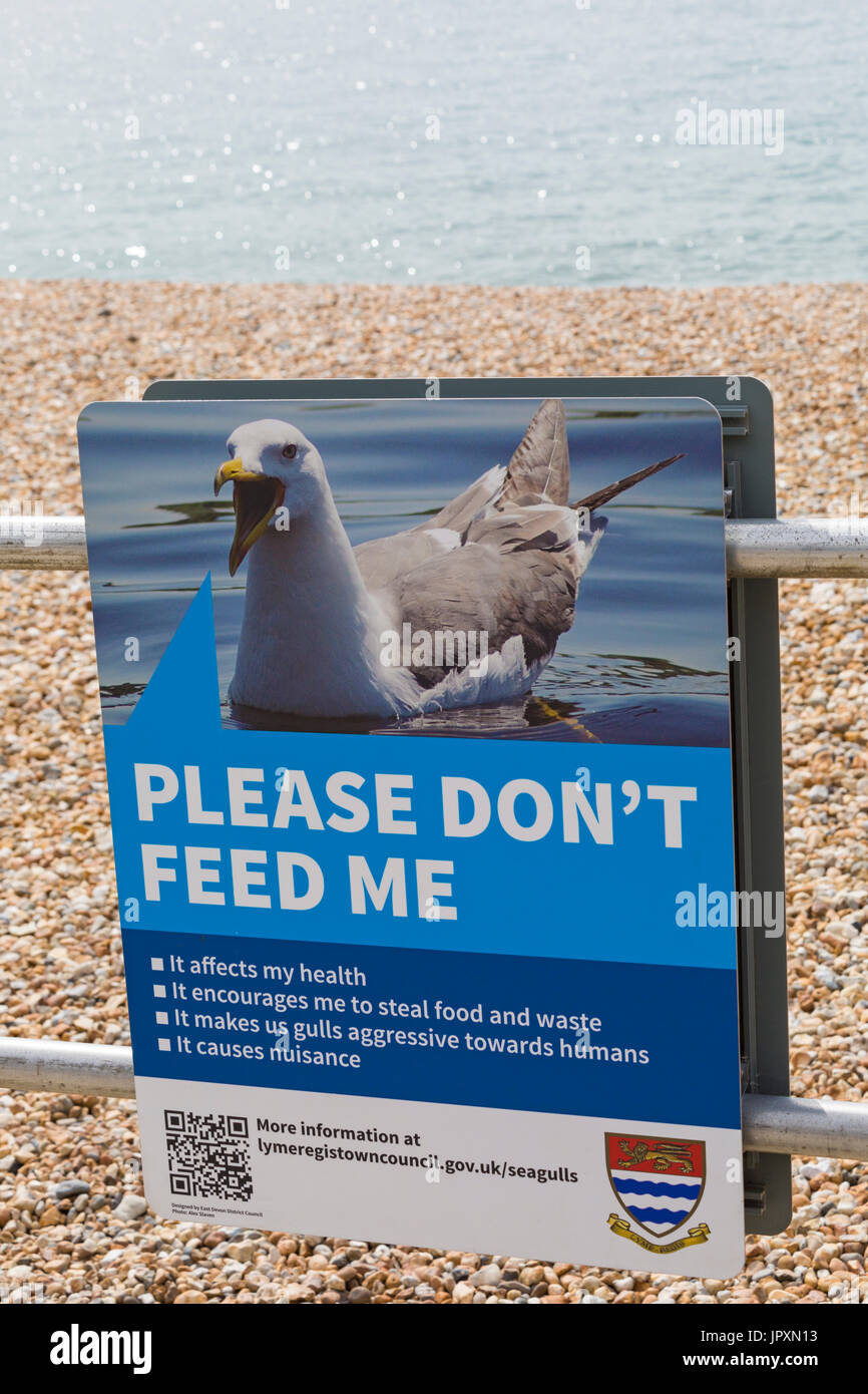 Dont feed the seagulls sign hi-res stock photography and images - Alamy
