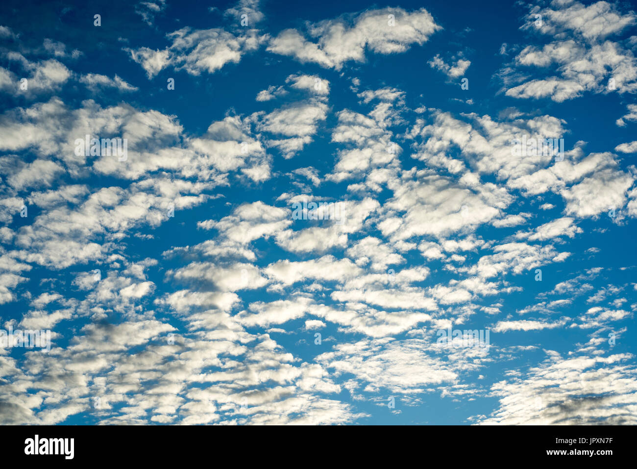 Abstract texture of clouds and sky. Sunny day with cloudy sky Stock ...