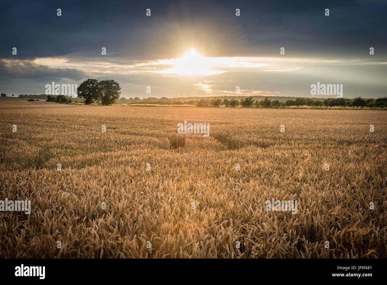 Early evening and the sun begins to set over farmed agricultural land ...