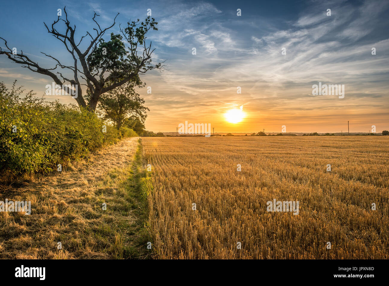 Lincolnshire Crops Stock Photos & Lincolnshire Crops Stock Images - Alamy