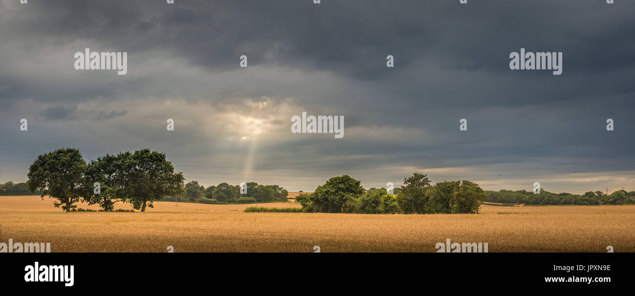Early evening and the sun begins to set over farmed agricultural land ...