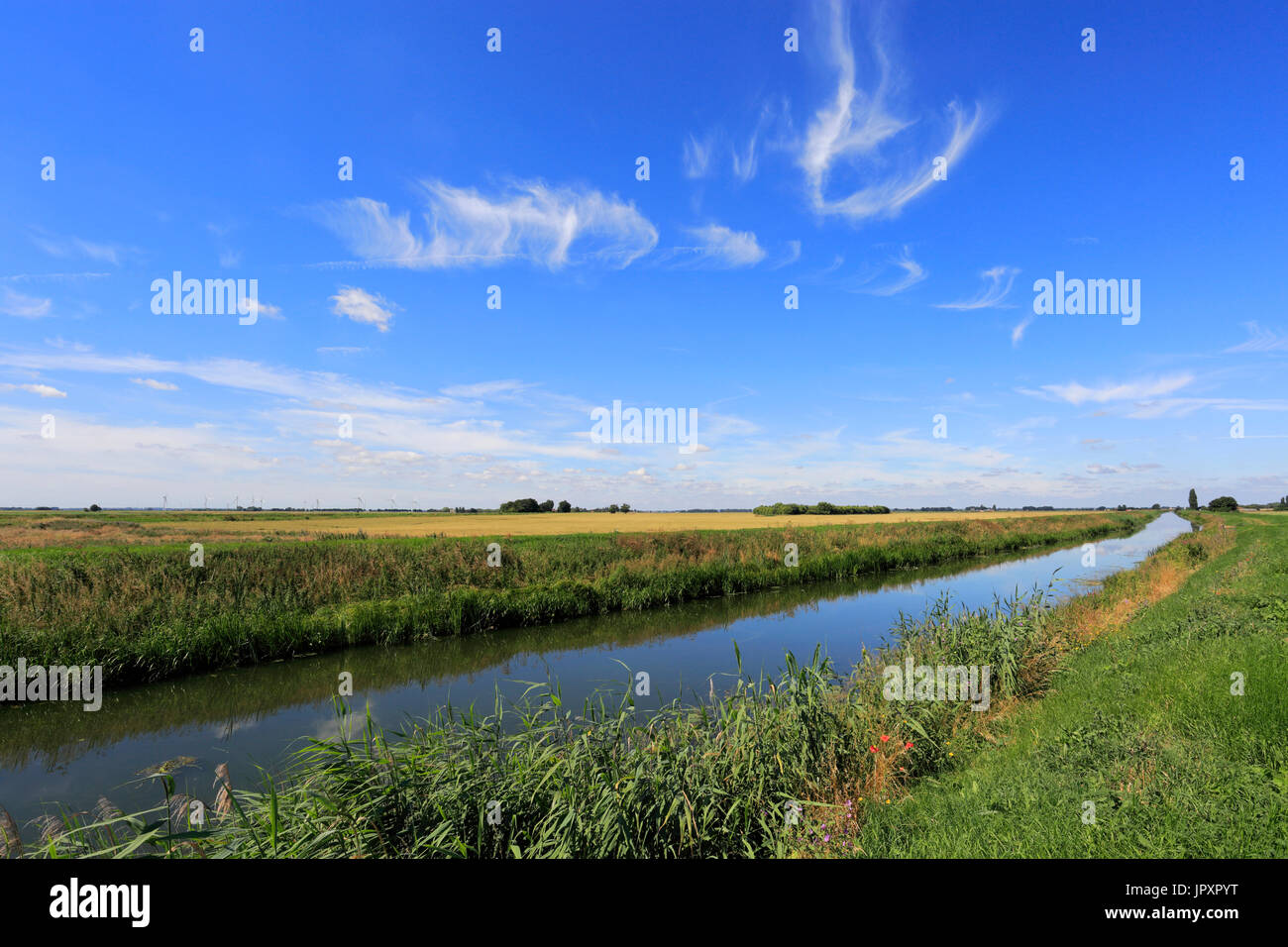 Coates cambridgeshire hi-res stock photography and images - Alamy