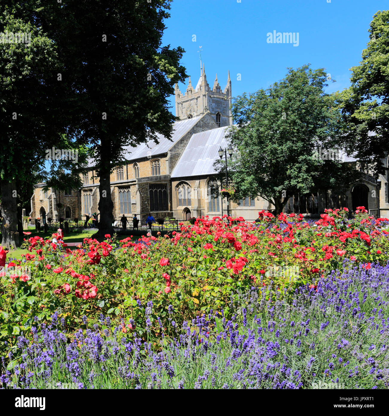 Wisbech cambridgeshire england hi-res stock photography and images - Alamy