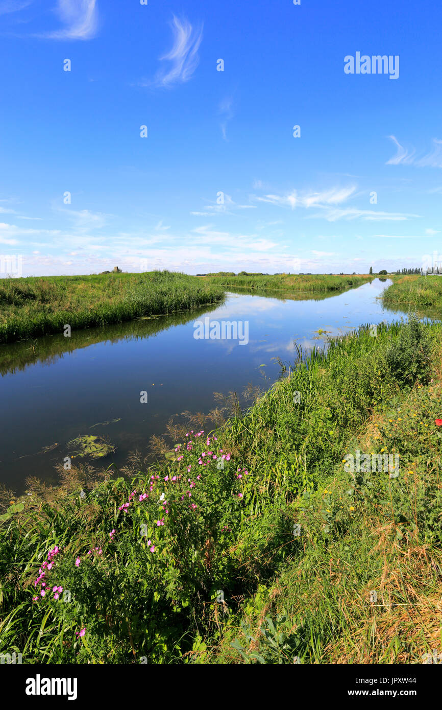 Coates cambridgeshire hi-res stock photography and images - Alamy