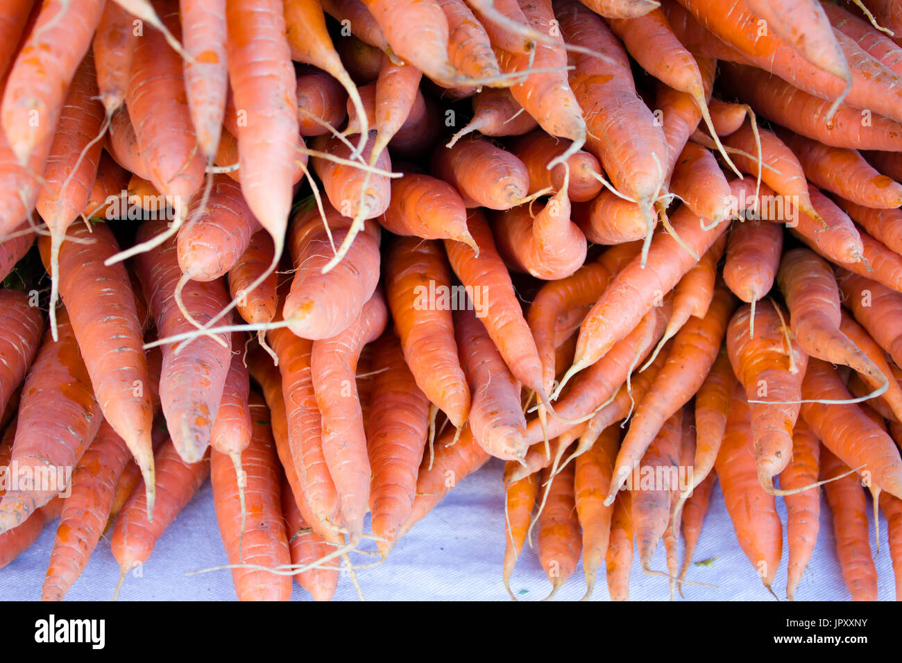 Fresh ripe organic vegetables at a local farmer's market in Penticton ...