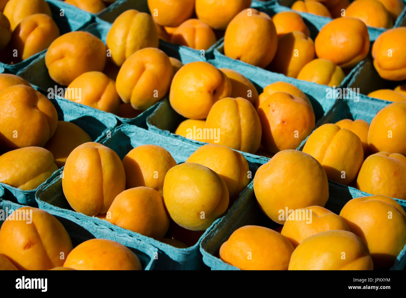 Fresh ripe organic vegetables at a local farmer's market in Penticton ...