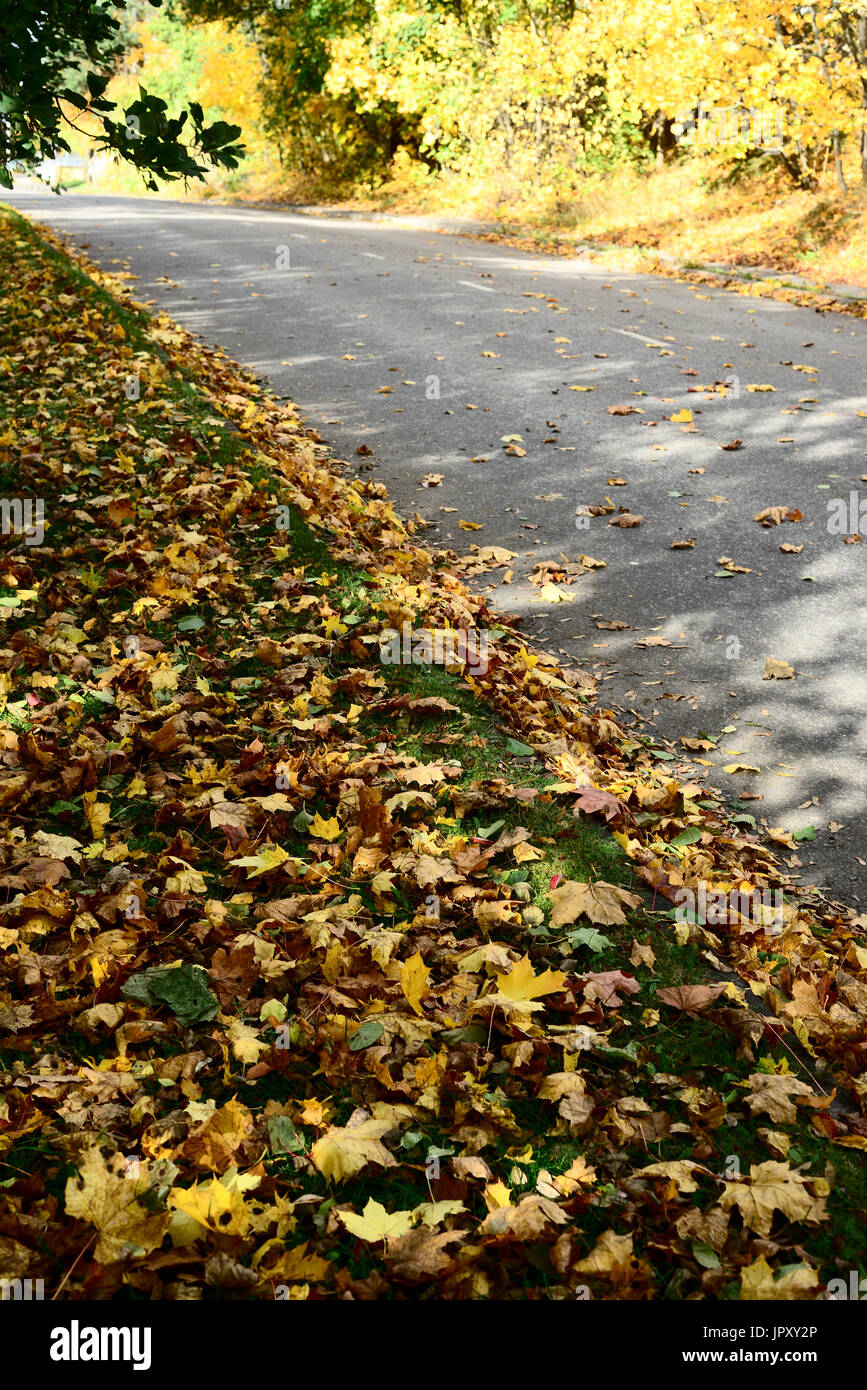 Asphalt road in yellow hi-res stock photography and images - Alamy