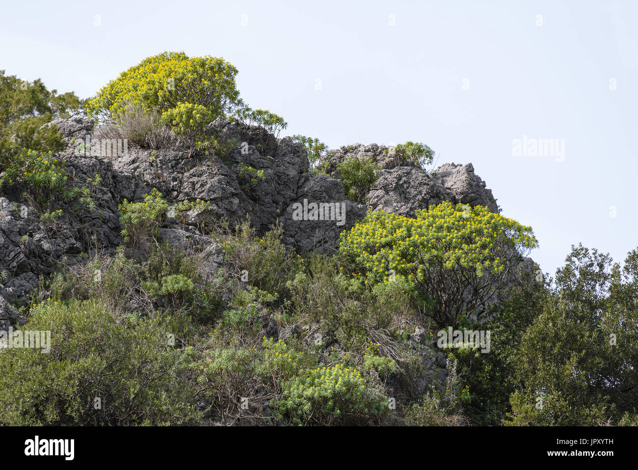 Maremma natural reserve internal landscapes Stock Photo - Alamy
